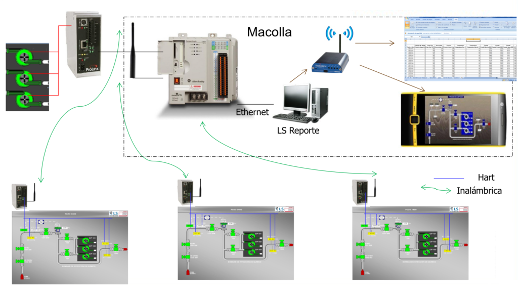Macollas y cluster – LSI Group
